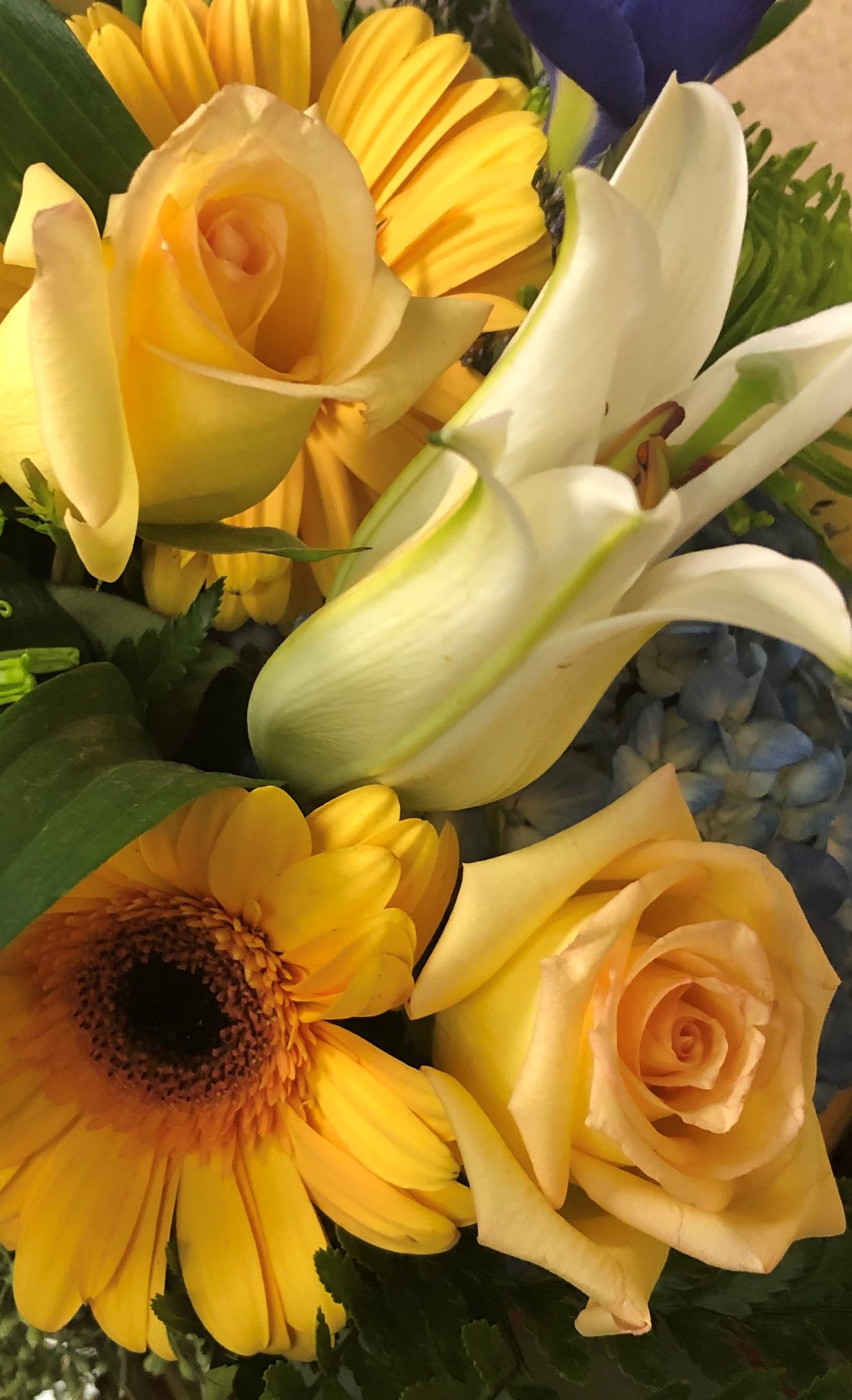 Good Riddance, 2021 – Diane M Simard